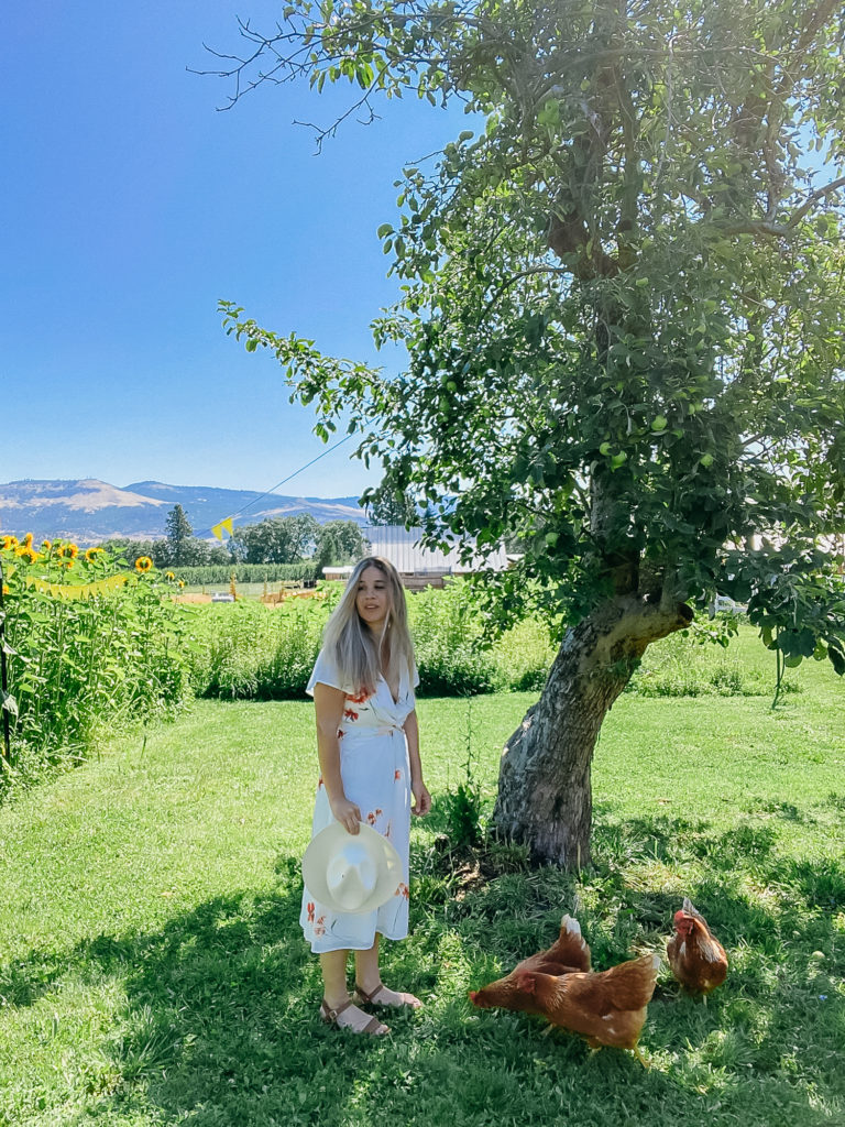 7 Unique Farms to Visit this Year - On the Trip Side