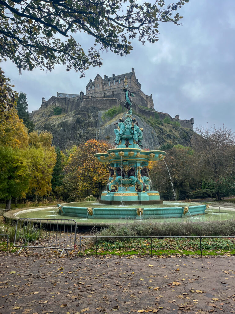 The Best Viator Tours I’ve Been On – On the Trip Side